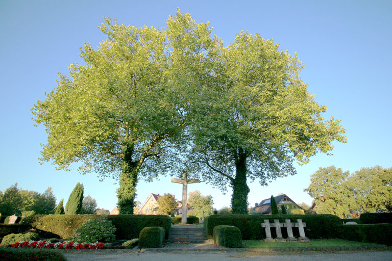 Baumkataster - Terravista